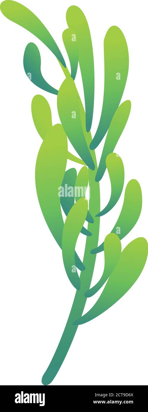 Rosemary icon. Cartoon of rosemary vector icon for web design isolated ...