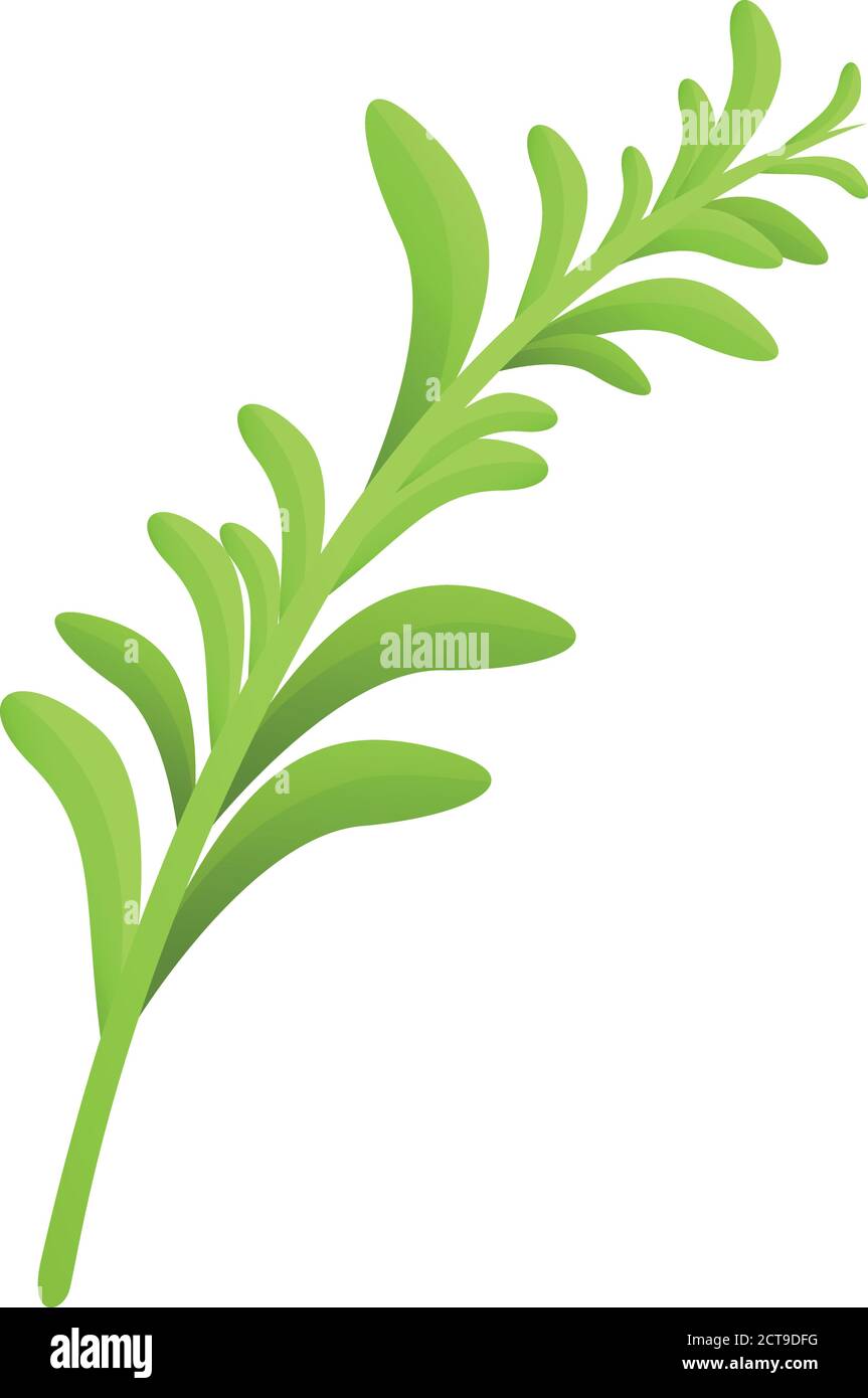 Rosemary aroma icon. Cartoon of rosemary aroma vector icon for web ...