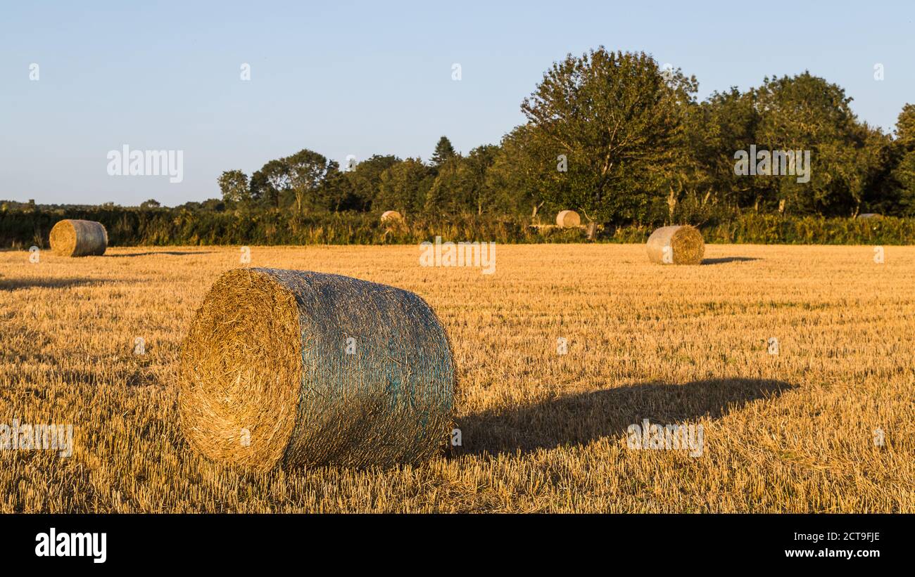 Hay bales in a small field near Pickering captured at sunset Stock ...