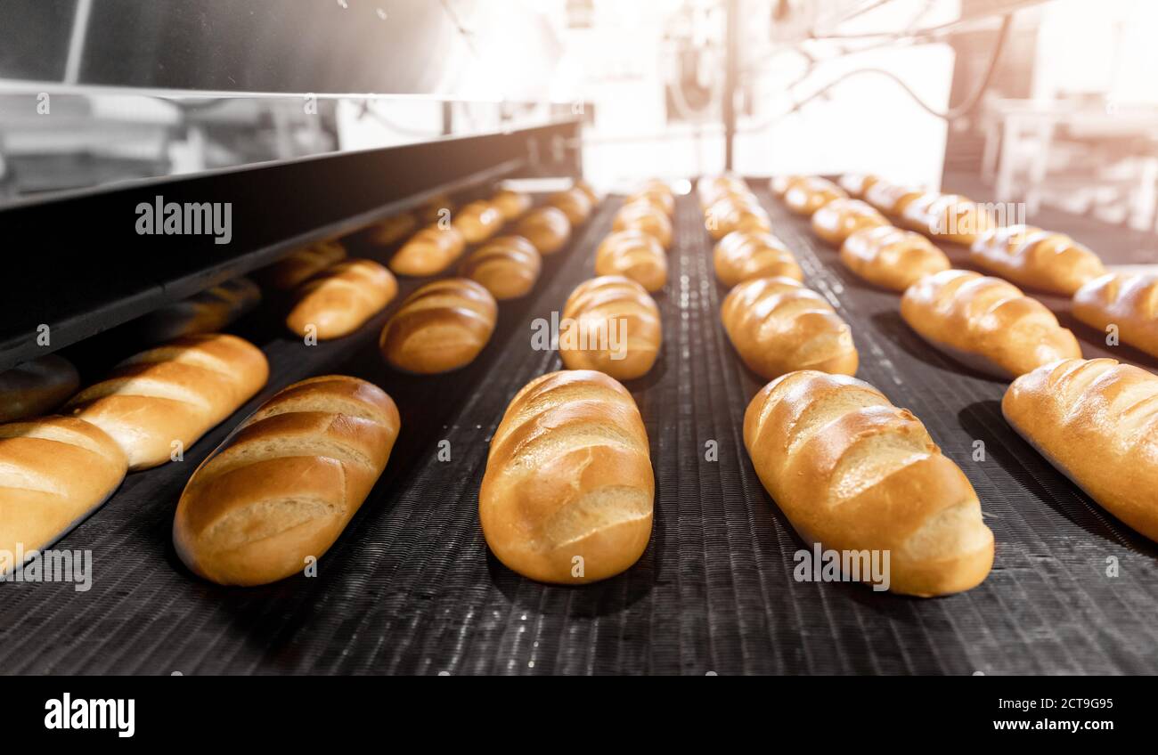 Automated production line bakery Fresh hot baked breads Stock Photo - Alamy