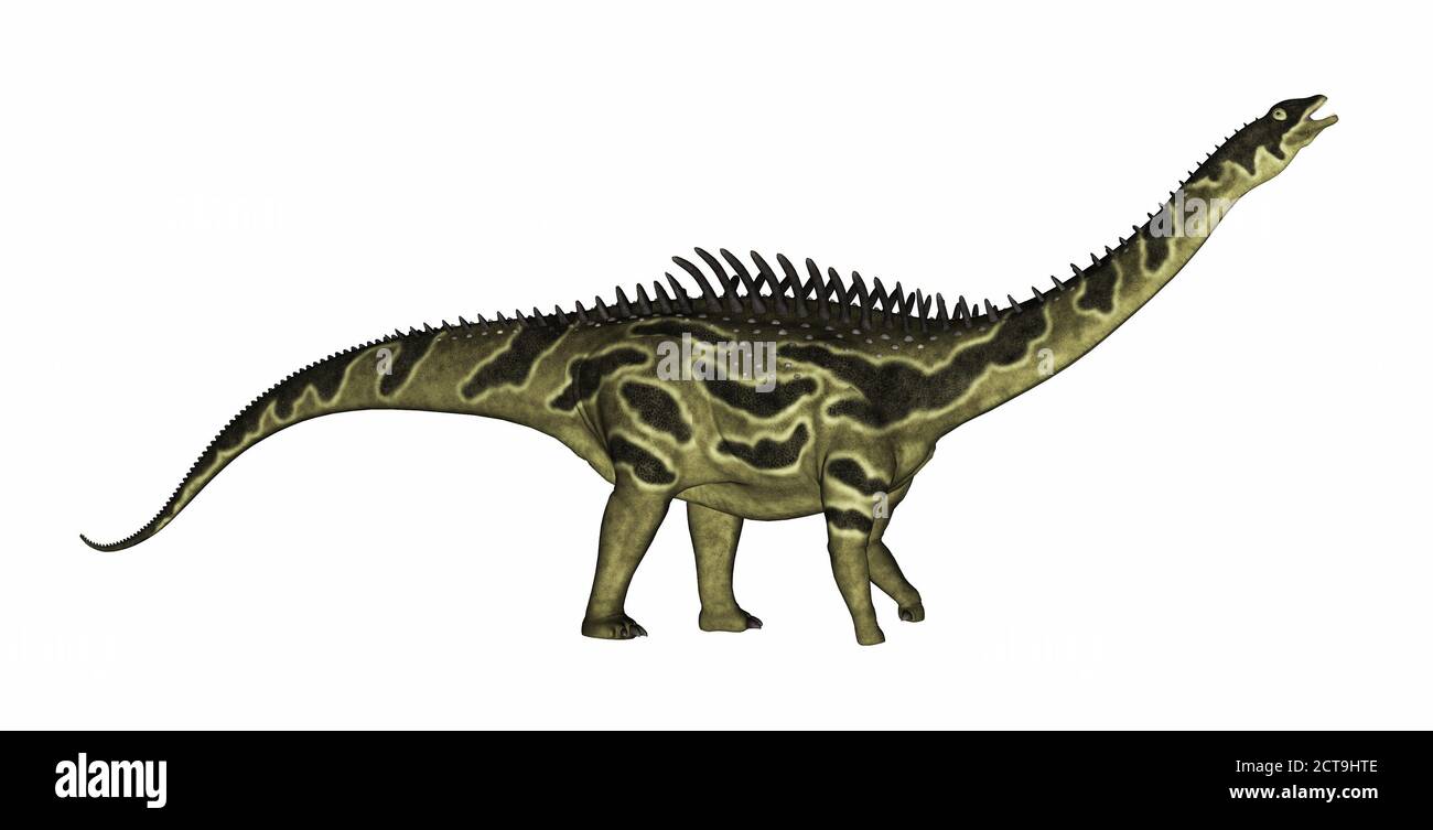 Agustinia dinosaur - 3D render Stock Photo - Alamy
