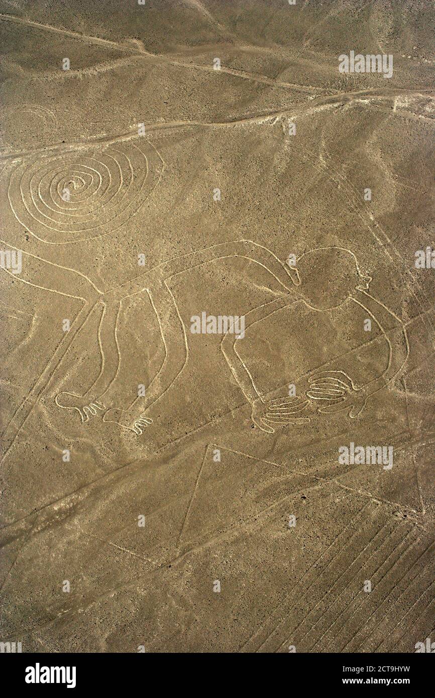 The monkey nazca lines hi-res stock photography and images - Alamy