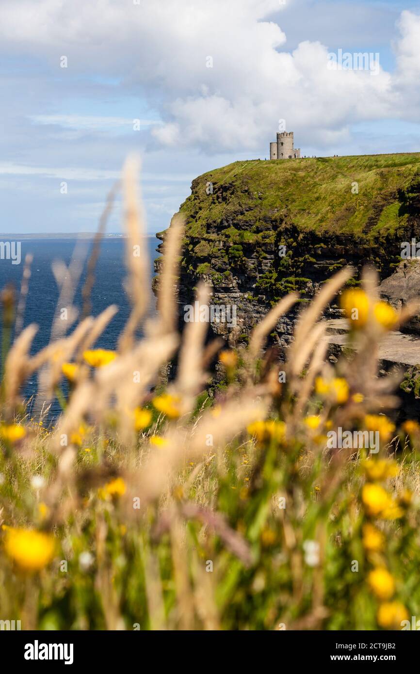 Ireland, landscape at Cliffs of Moher Stock Photo - Alamy