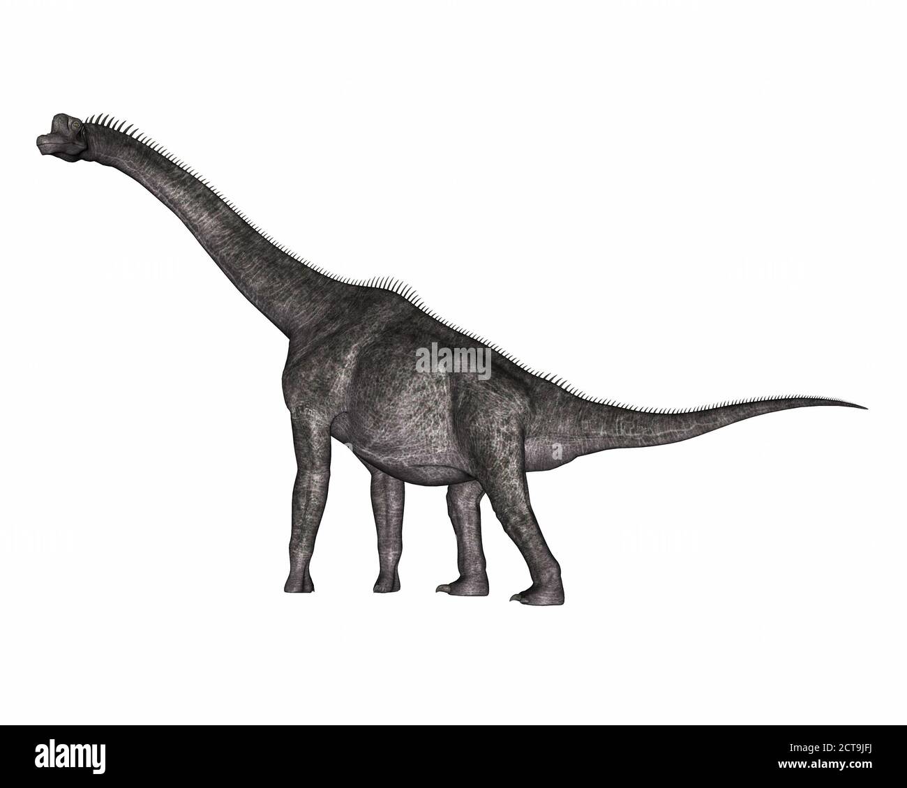 Dinosaur brachiosaurus large herbivore Cut Out Stock Images & Pictures ...