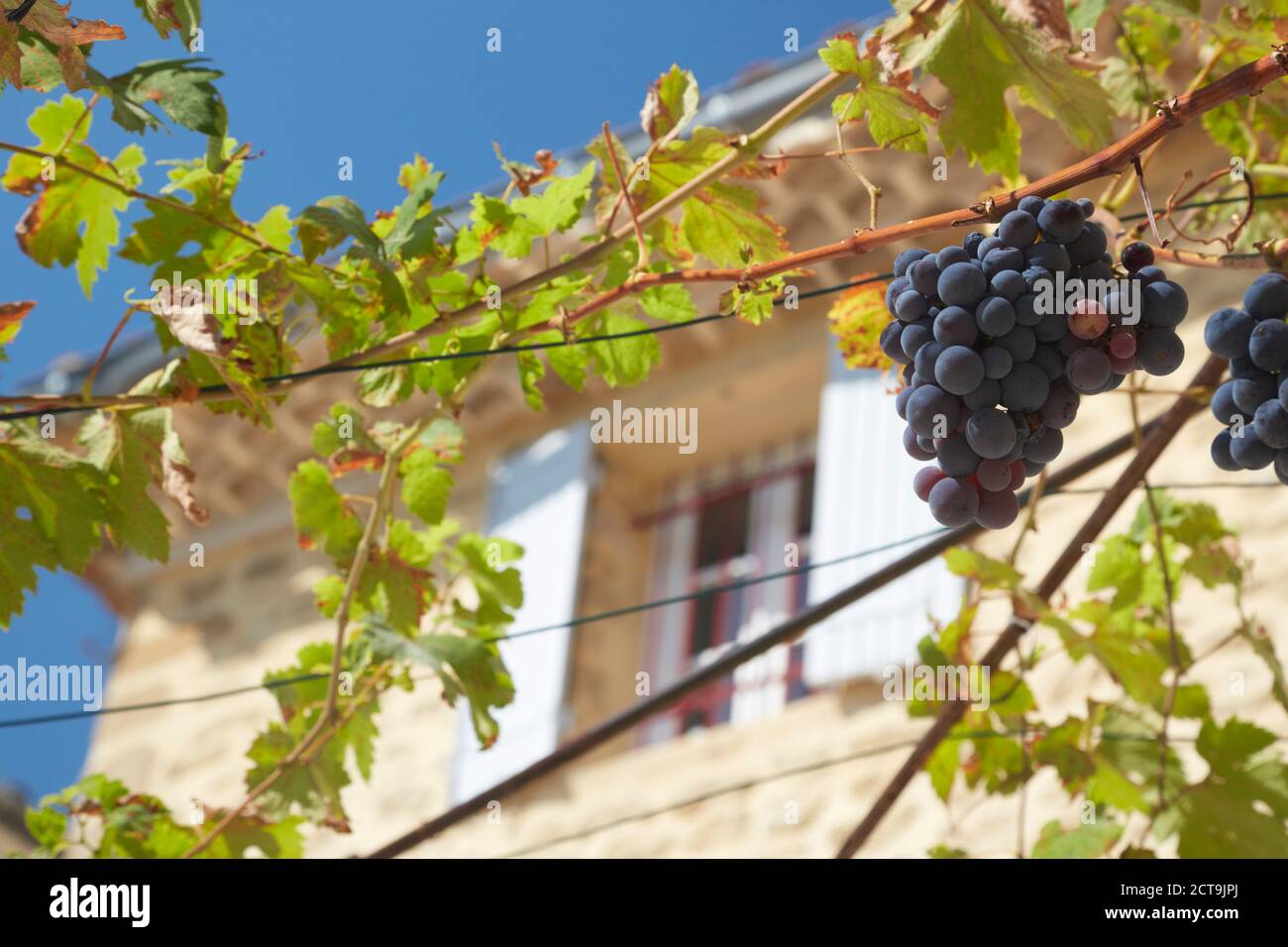 Tulette hi-res stock photography and images - Alamy