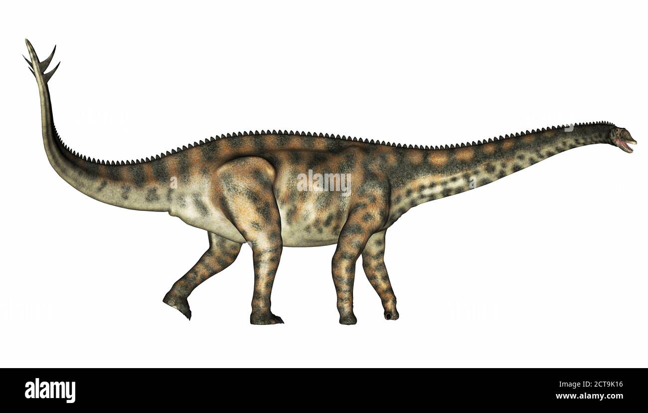 Spinophorosaurus dinosaur - 3D render Stock Photo - Alamy