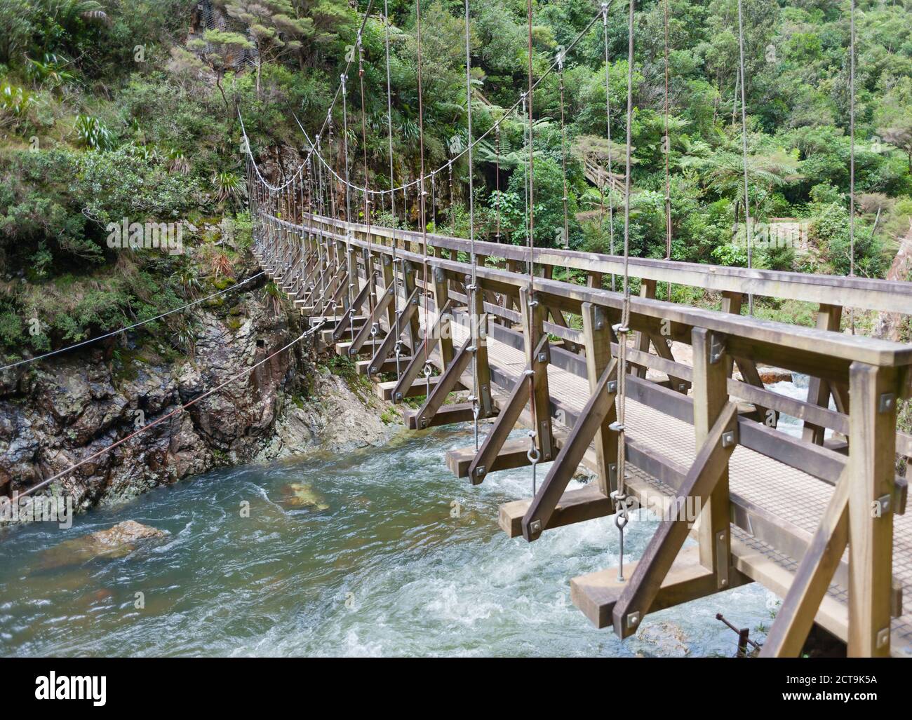 New Zealand, North Island, Waikato, Karangahake Gorge, suspension ...