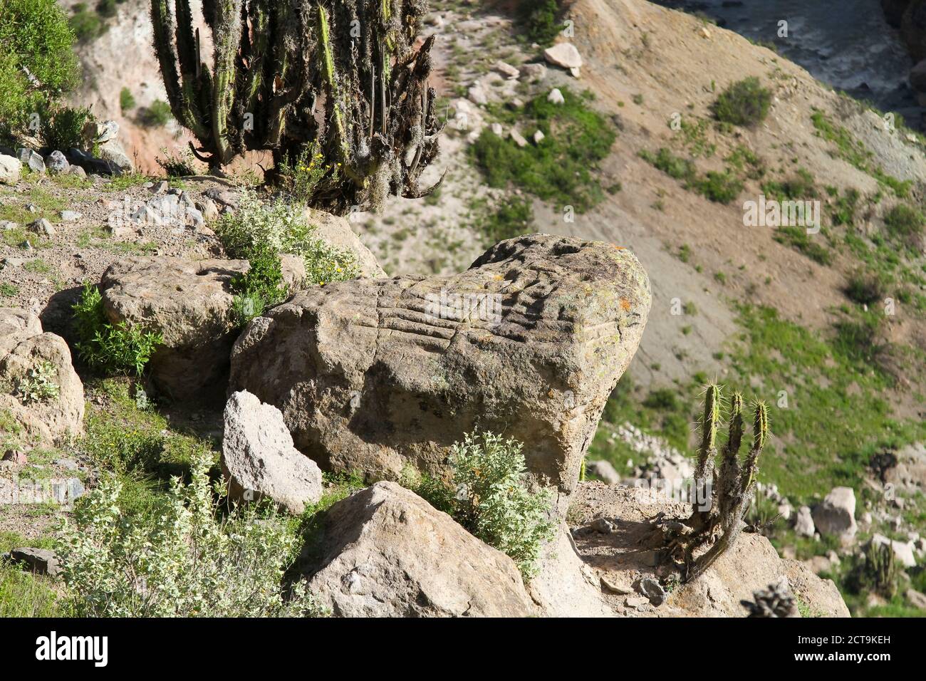 South America, Peru, Andes, Scale model craved in stone depicting the ...