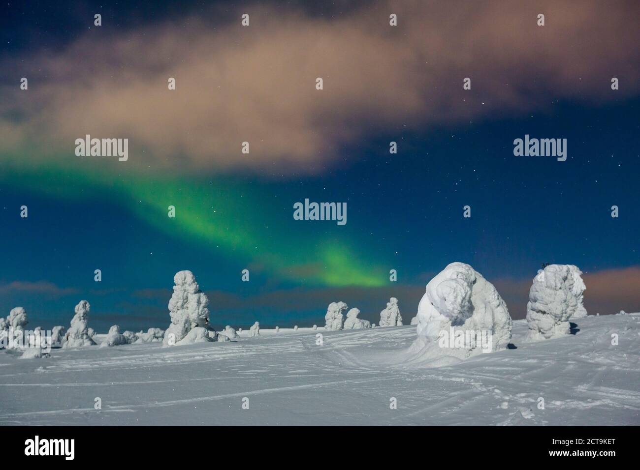 Scandinavia, Finland, Kittilae, Polar lights, Aurora borealis Stock ...