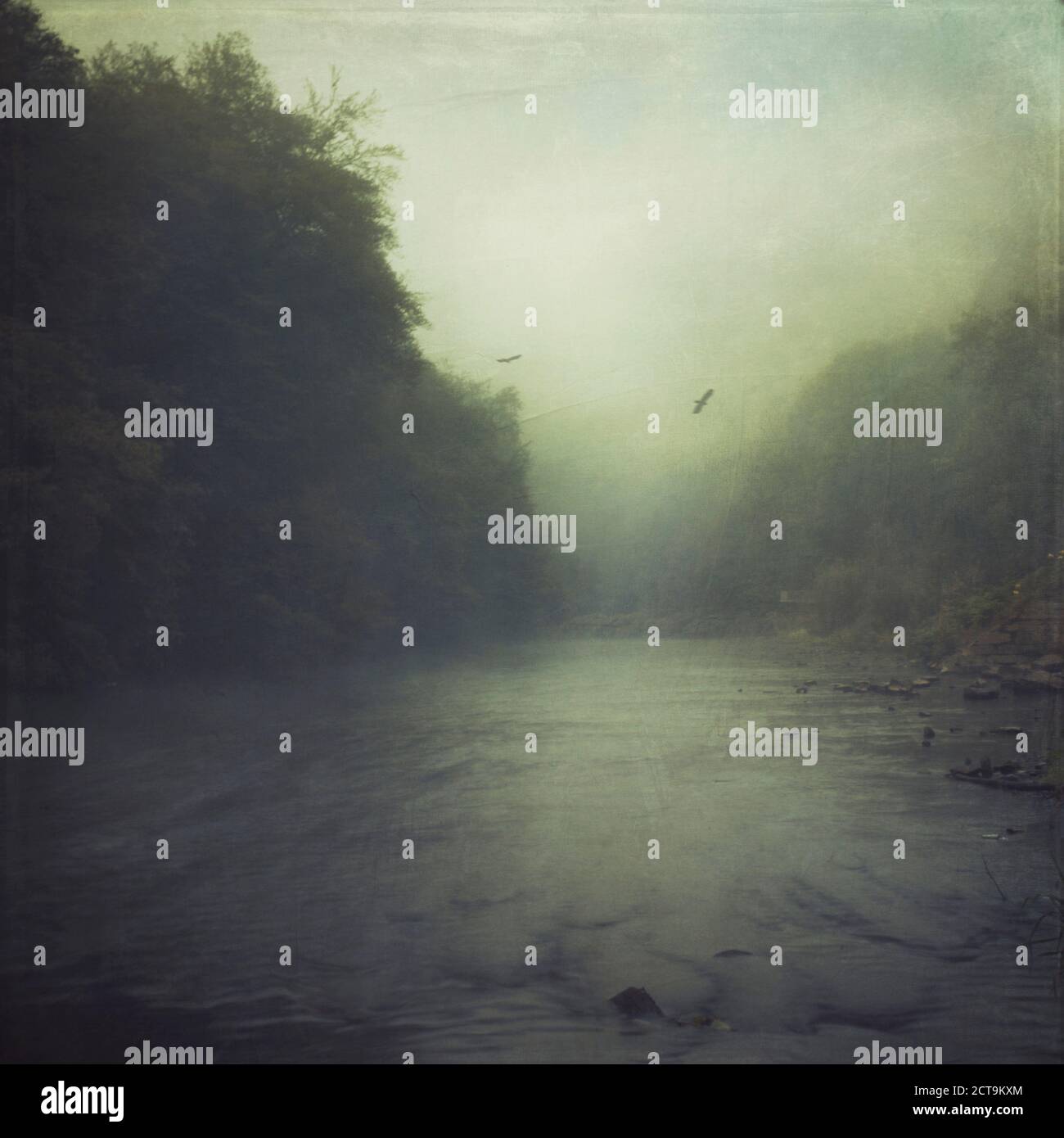 River wupper flowing rhine hi-res stock photography and images - Alamy