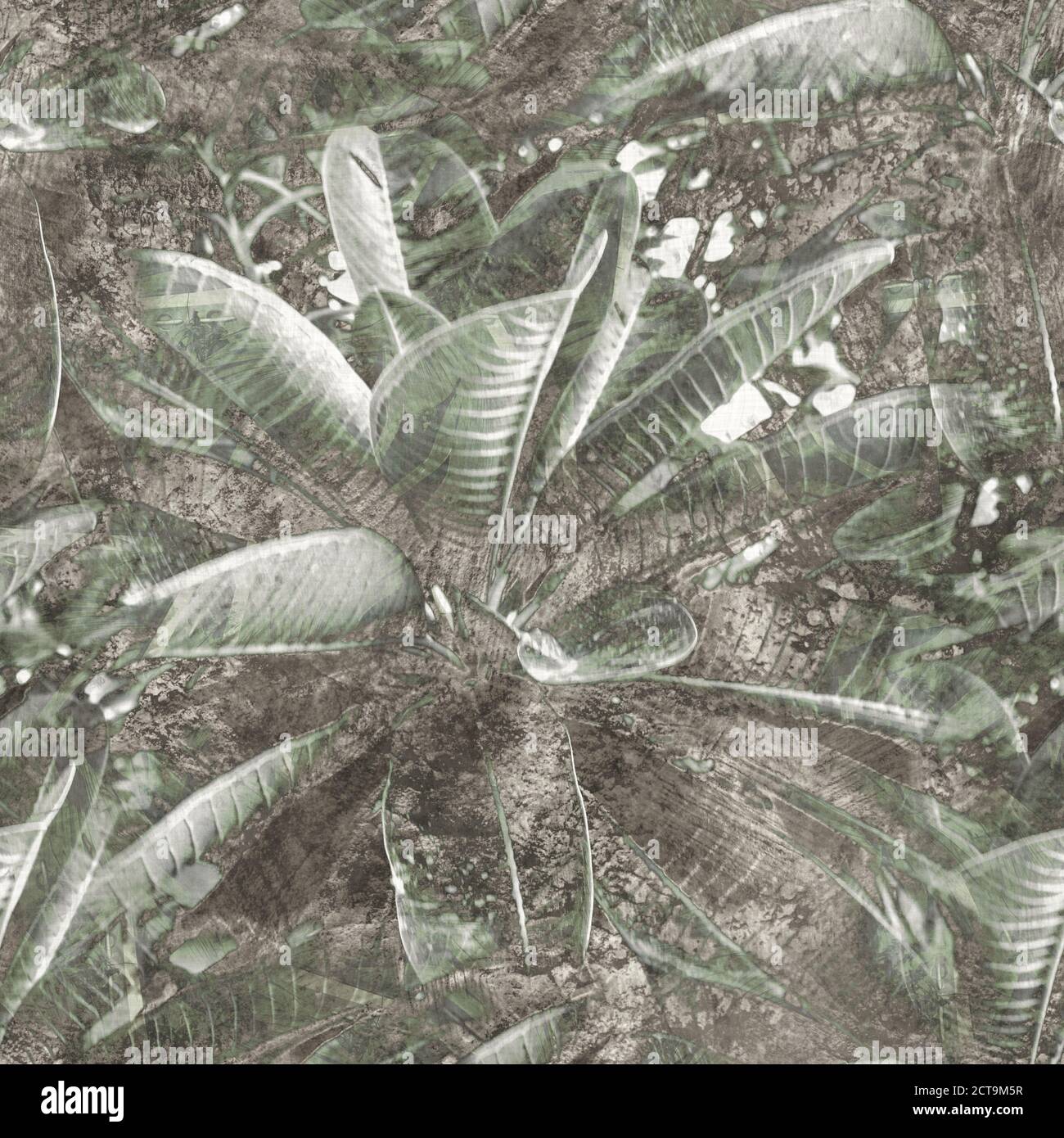 Neutral tropical palm tree leaves seamless pattern Stock Photo - Alamy