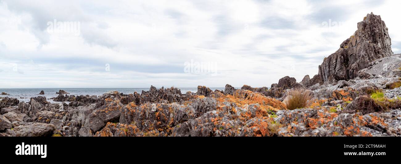 New Zealand, Wellington, Red Rocks Reserve Stock Photo - Alamy