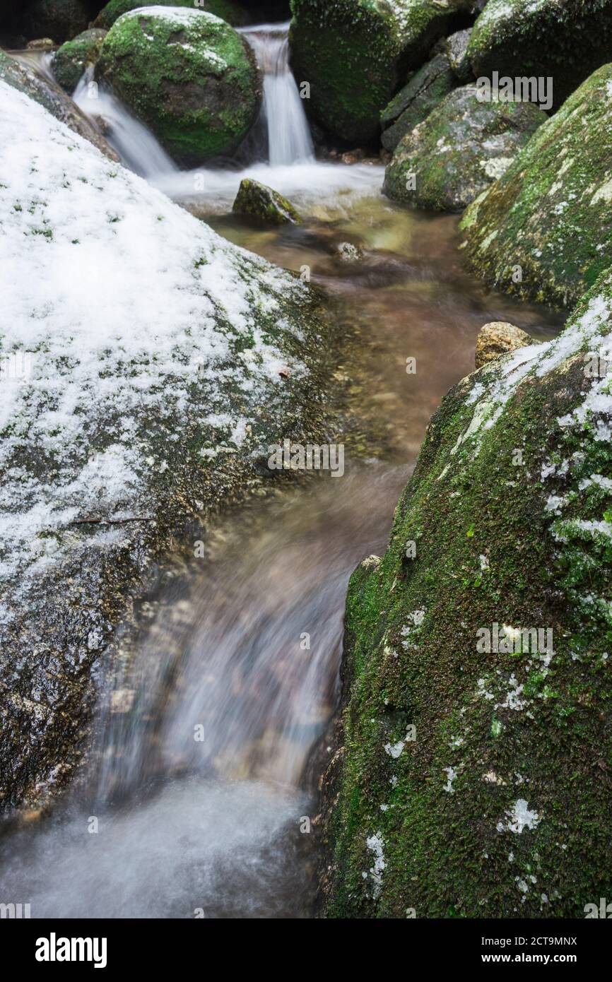 Japan, Yakushima, Waterfall in the rainforest Stock Photo - Alamy