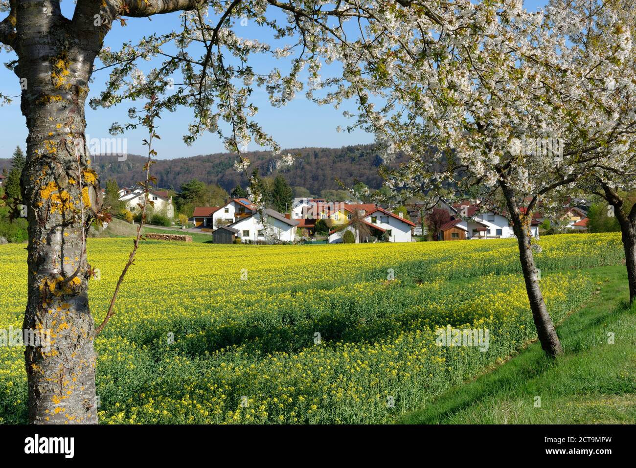 Germany, Bavaria, Upper Bavaria, Altmuehl valley, Walting, Gungolding ...
