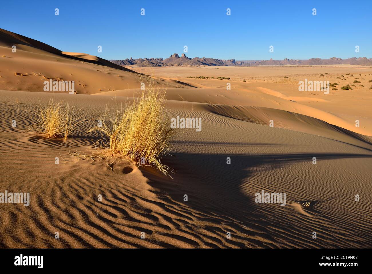 Algeria, Sahara, Tassili n' Ajjer, desert dune of Erg Admer at Tassili ...