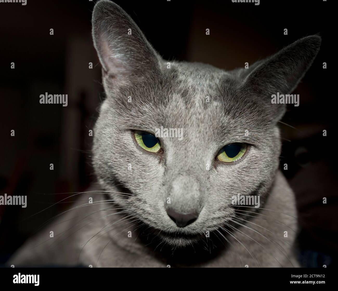 Russian themes hi-res stock photography and images - Alamy