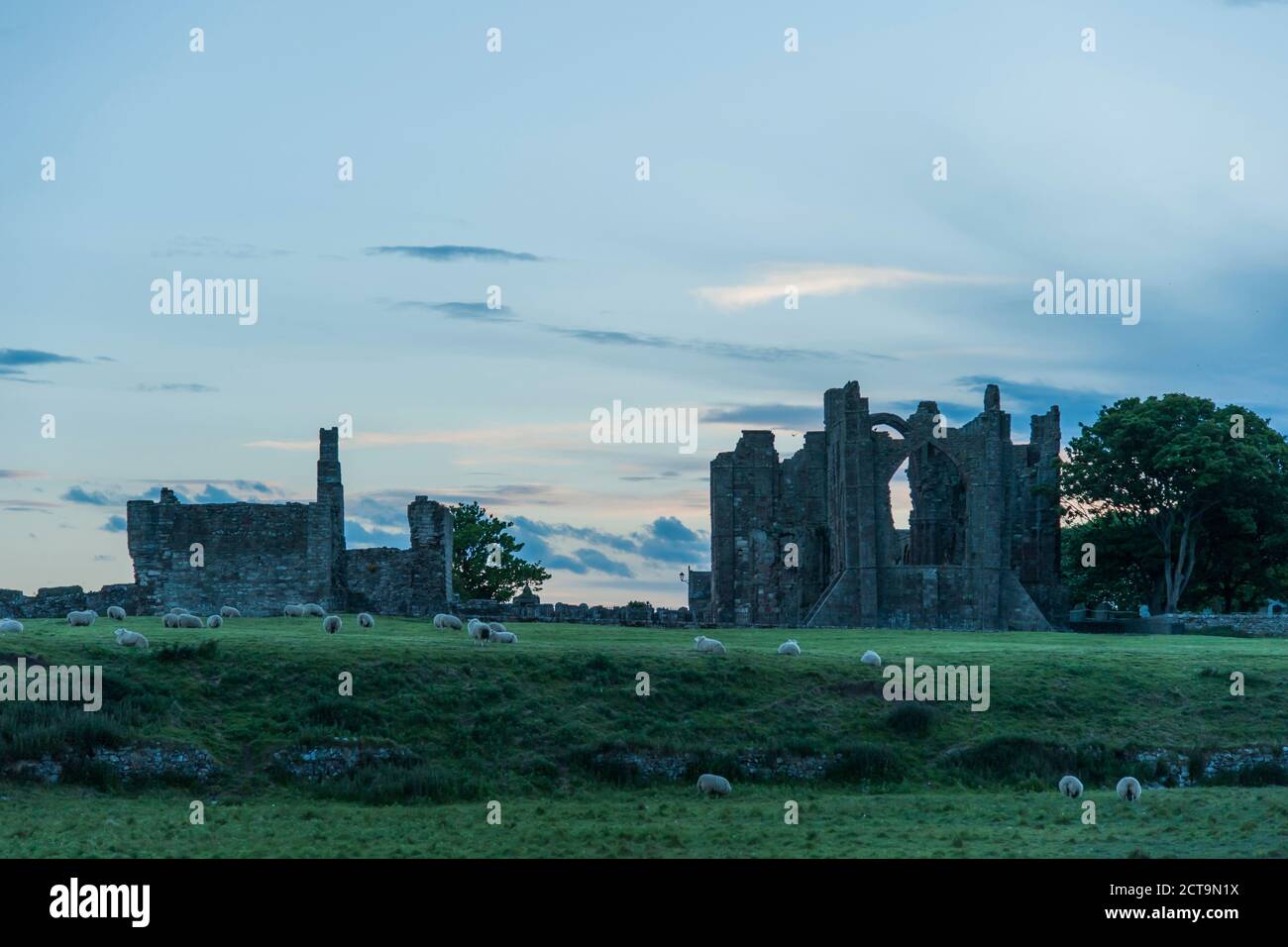 Great Britain, England, Northumberland, Holy Island, Lindisfarne ...