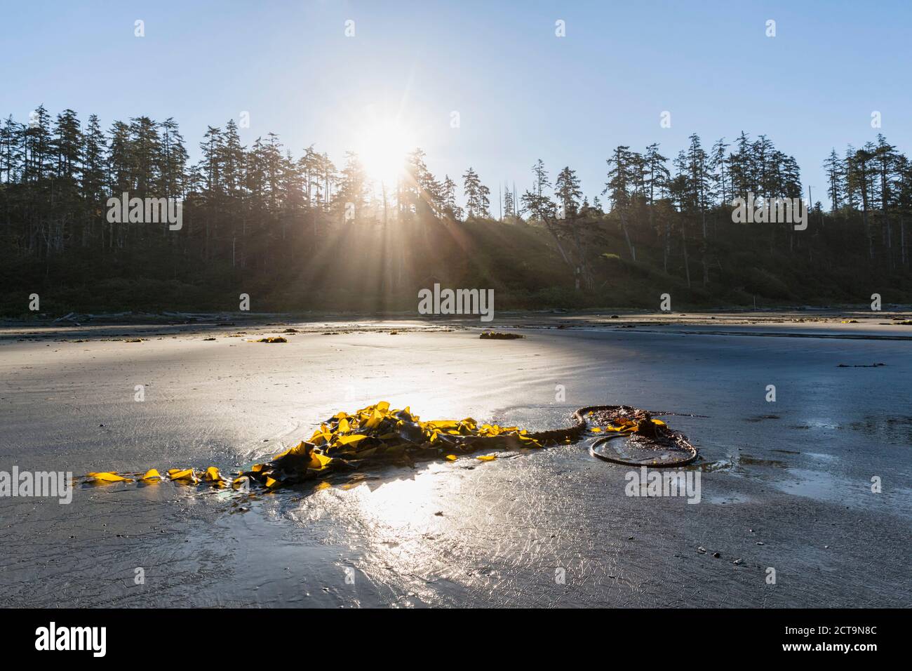 Pacific rim national park reserve hi-res stock photography and images ...