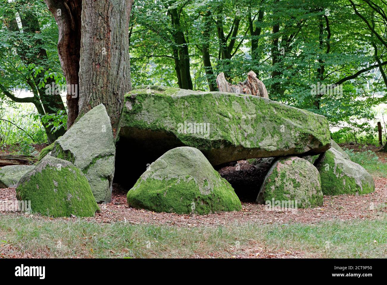 Megalithic tomb germany hi-res stock photography and images - Alamy