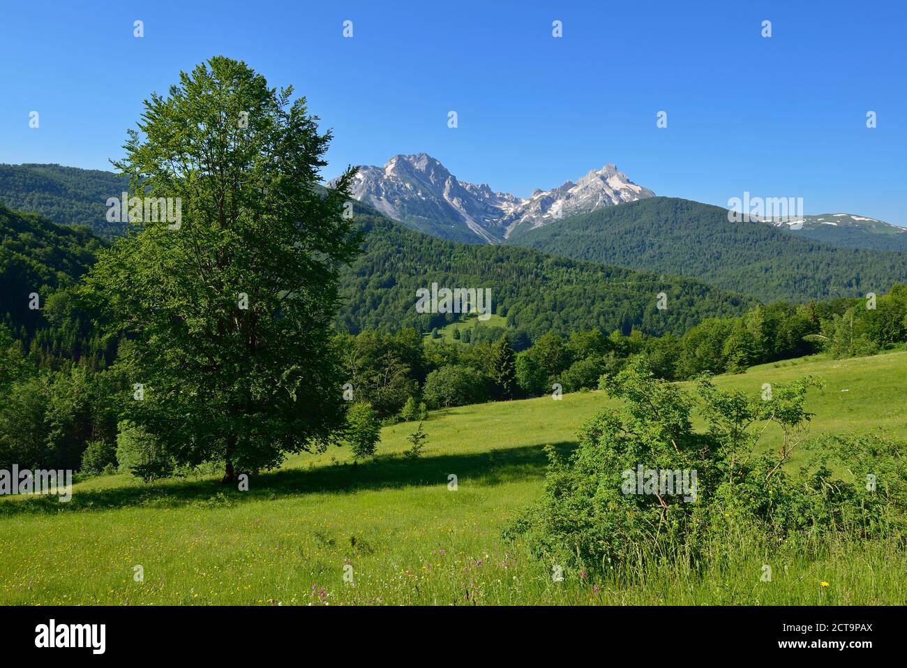 Montenegro, Crna Gora, View of Komovi Mountains Stock Photo - Alamy