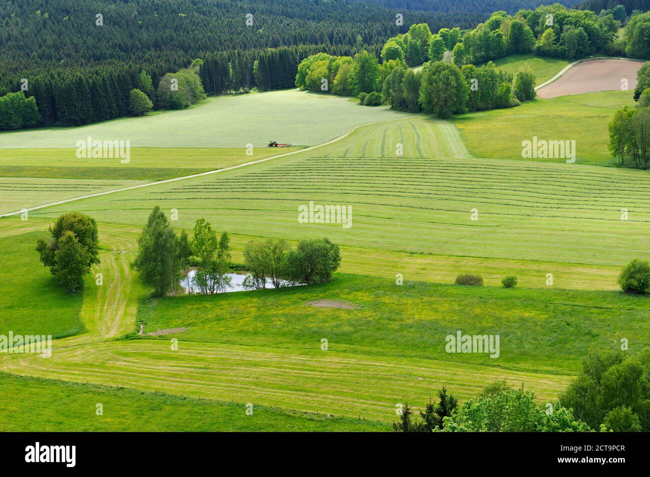 Weissenstein castle hi-res stock photography and images - Alamy