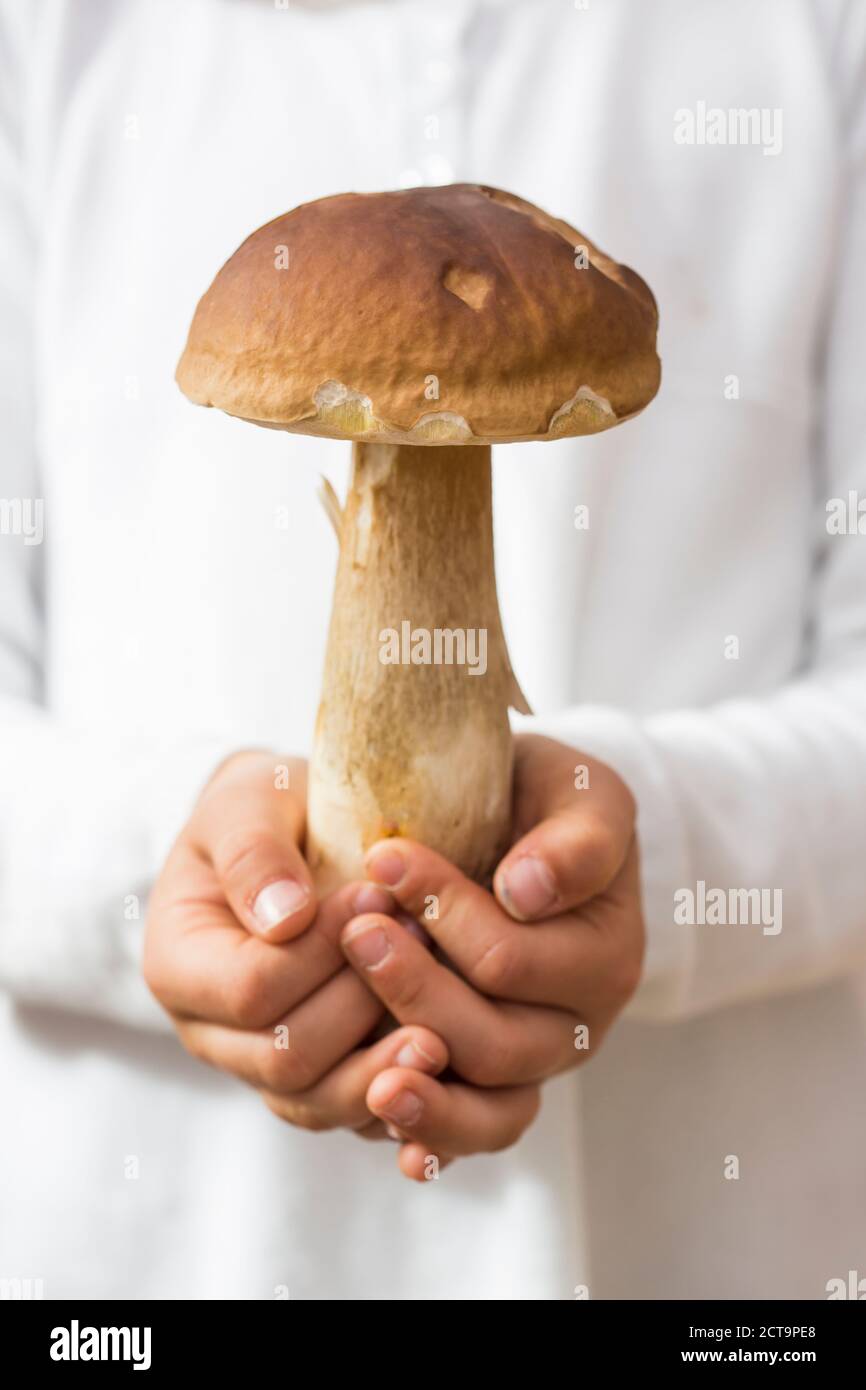 Big hands small hands hi-res stock photography and images - Alamy