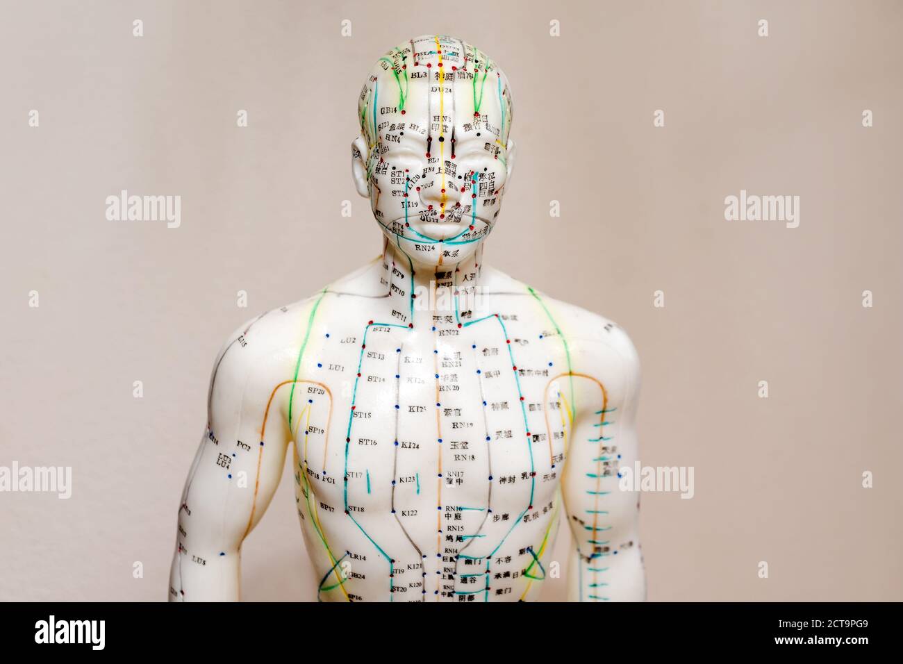 Oriental Medicine model in hospital. Plastic male acupuncture model ...