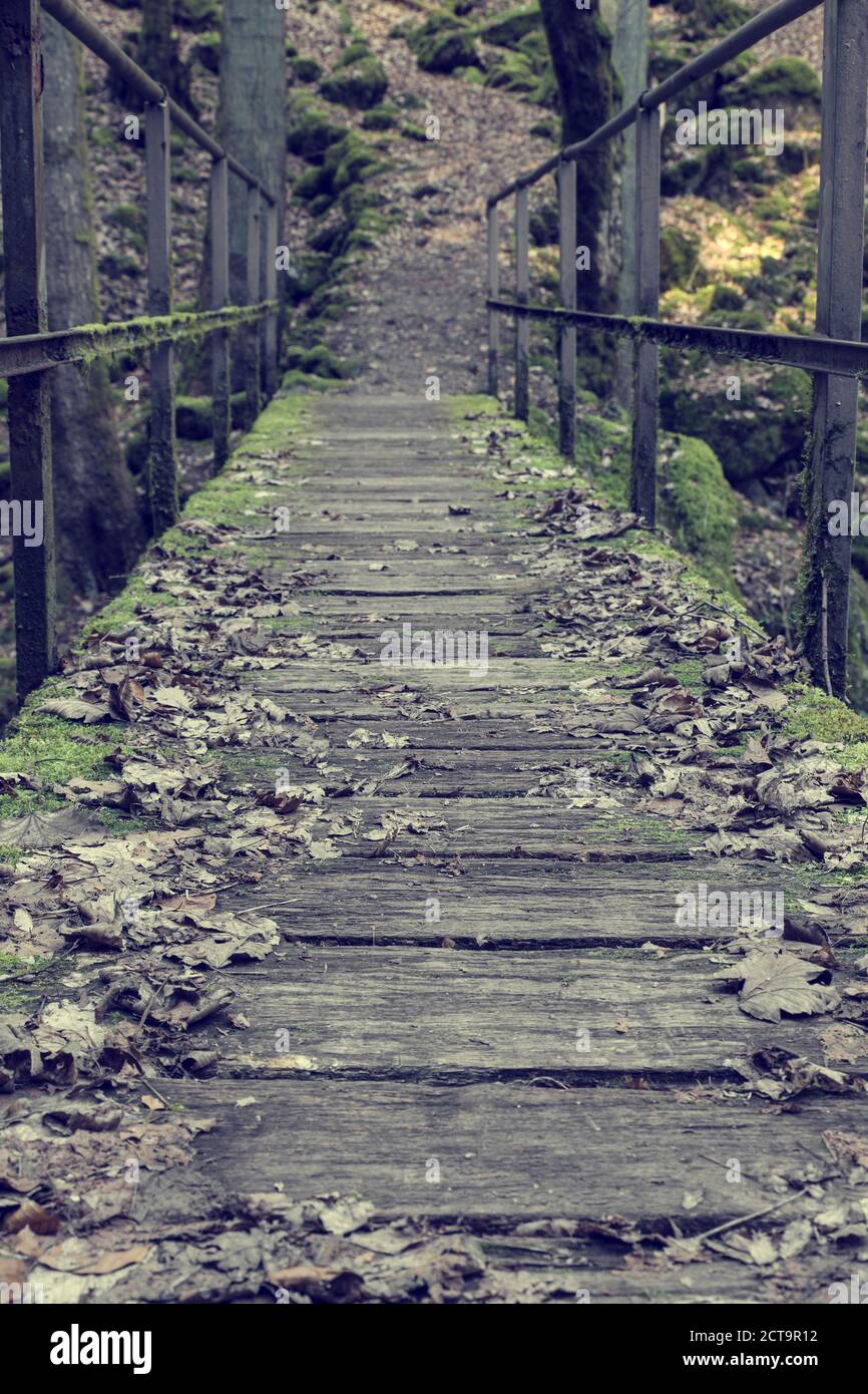Germany, Baden Wuerttemberg, Black Forest, wooden bridge Stock Photo ...