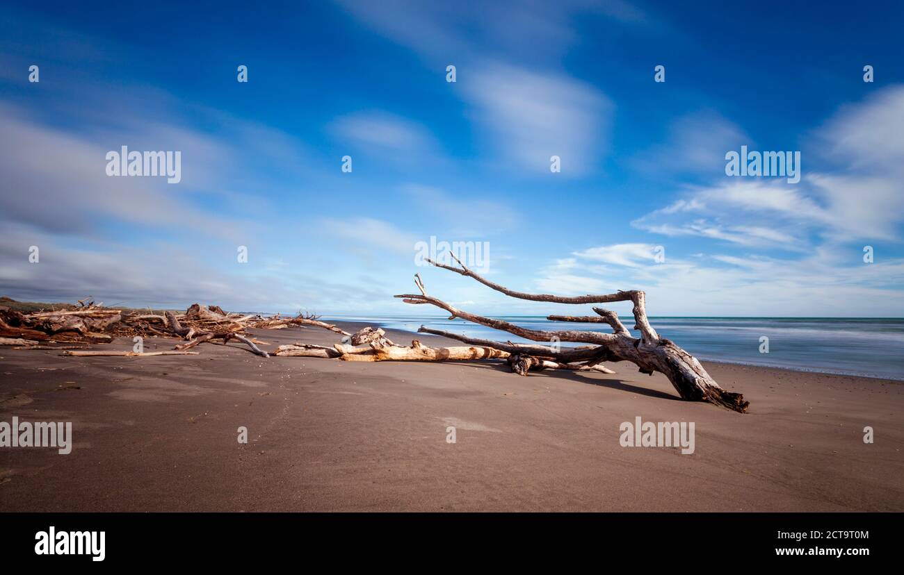 New Zealand, Wanganui beach Stock Photo - Alamy