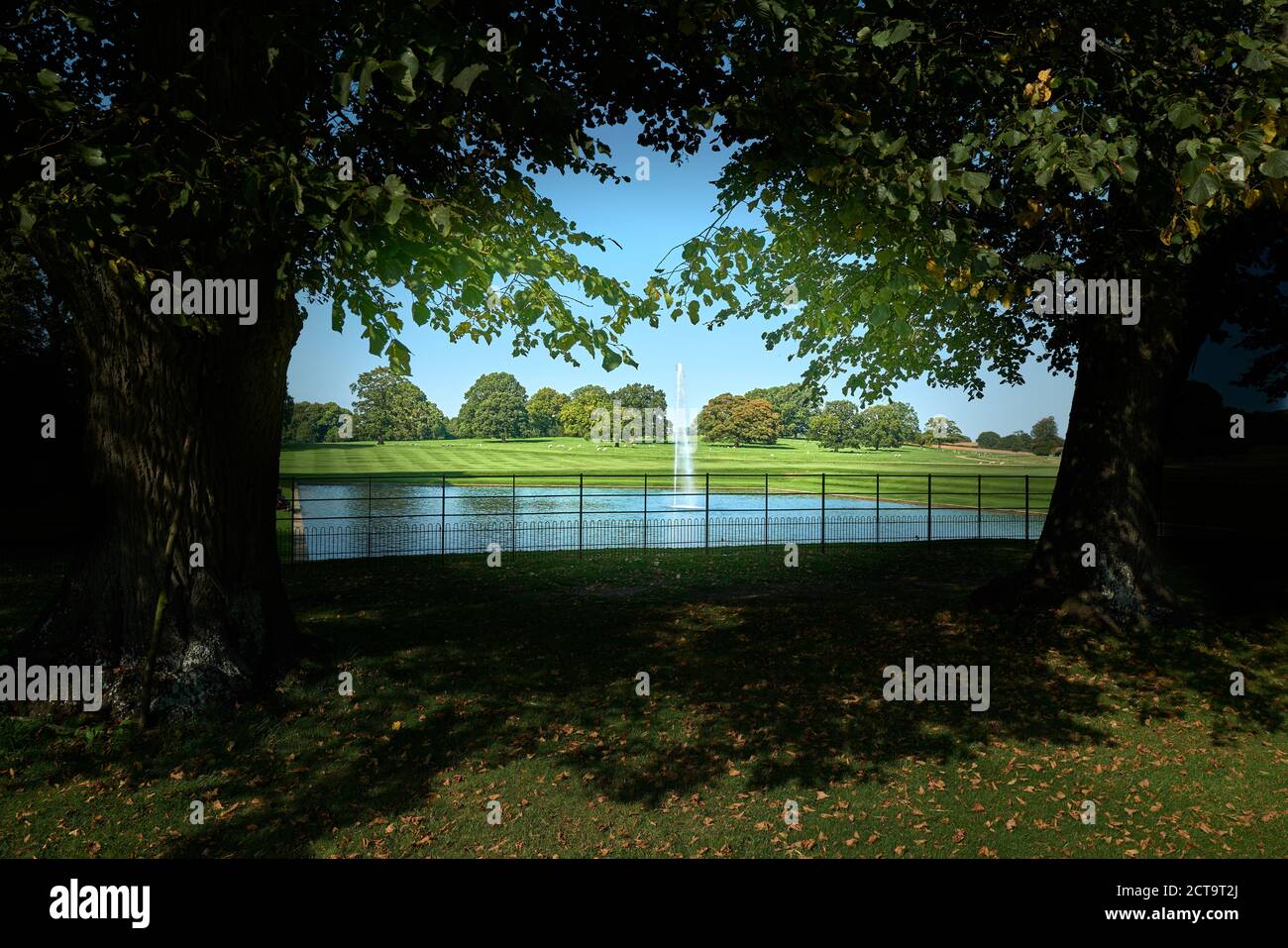 Grand Etang High Resolution Stock Photography and Images - Alamy