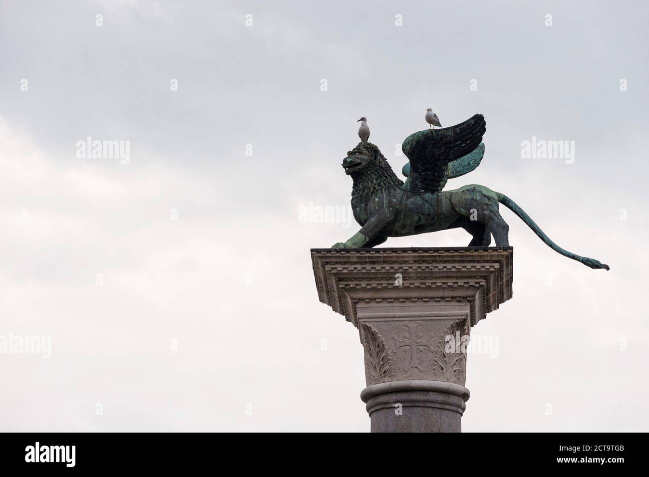 Venice animals hi-res stock photography and images - Alamy
