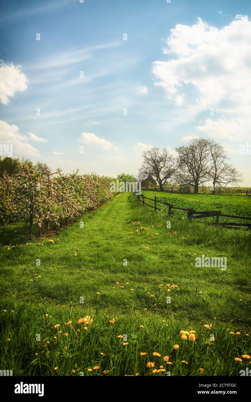 Altes land area hi-res stock photography and images - Alamy