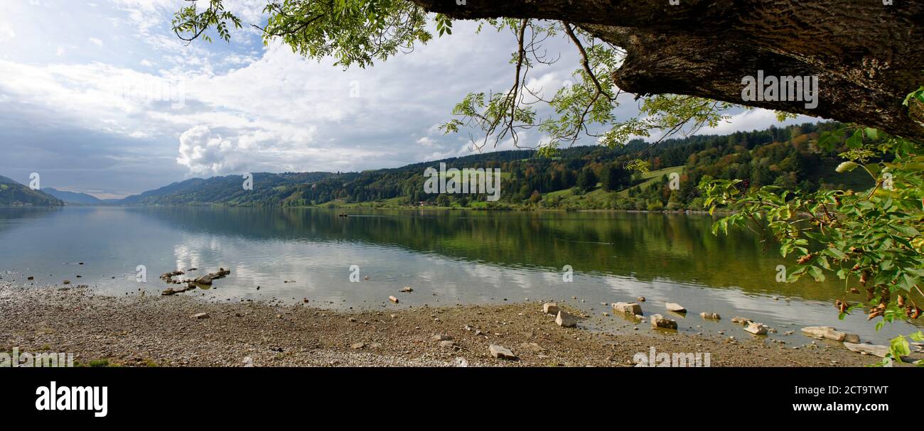 Germany, Bavaria, Swabia, on the east bank at Buehl, Grosser Alpsee ...