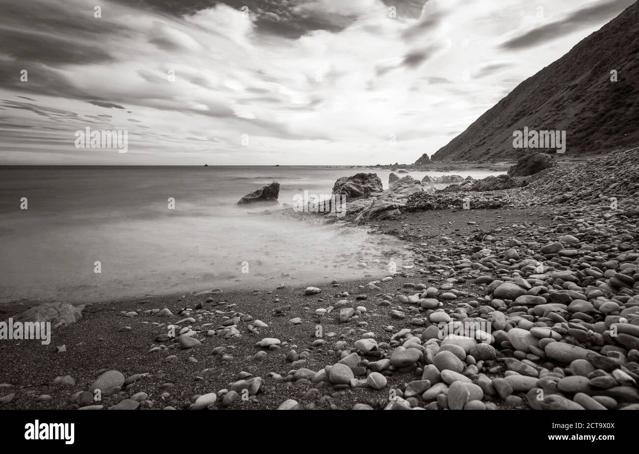 New Zealand, Wellington, Red Rocks Reserve Stock Photo - Alamy