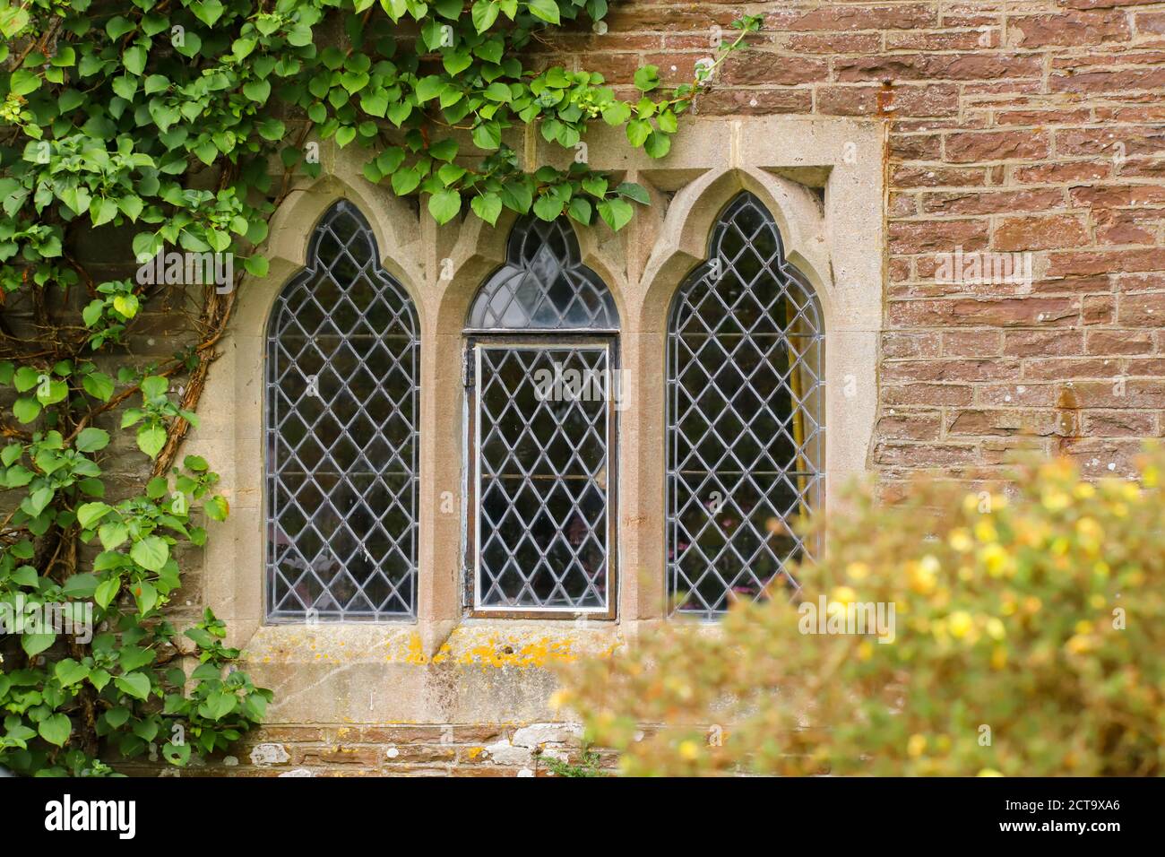 Black leaded windows in a stone surround in an old medieval cottage ...
