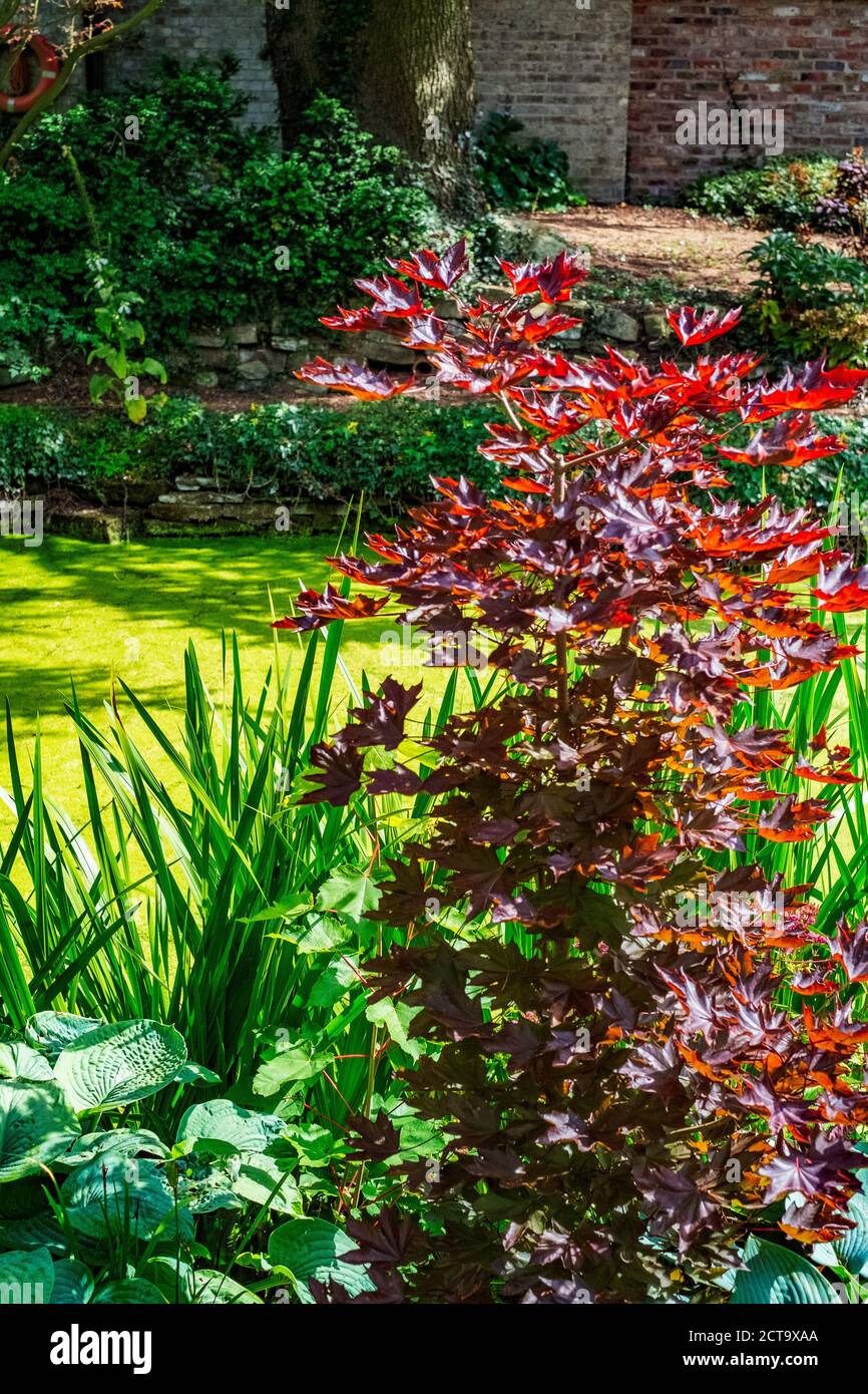 Salt marsh hall gardens Stock Photo - Alamy