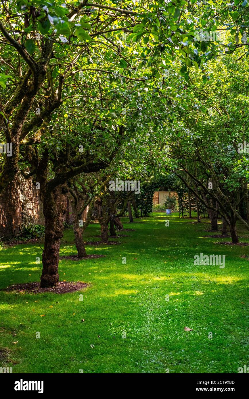 Salt marsh hall gardens Stock Photo - Alamy