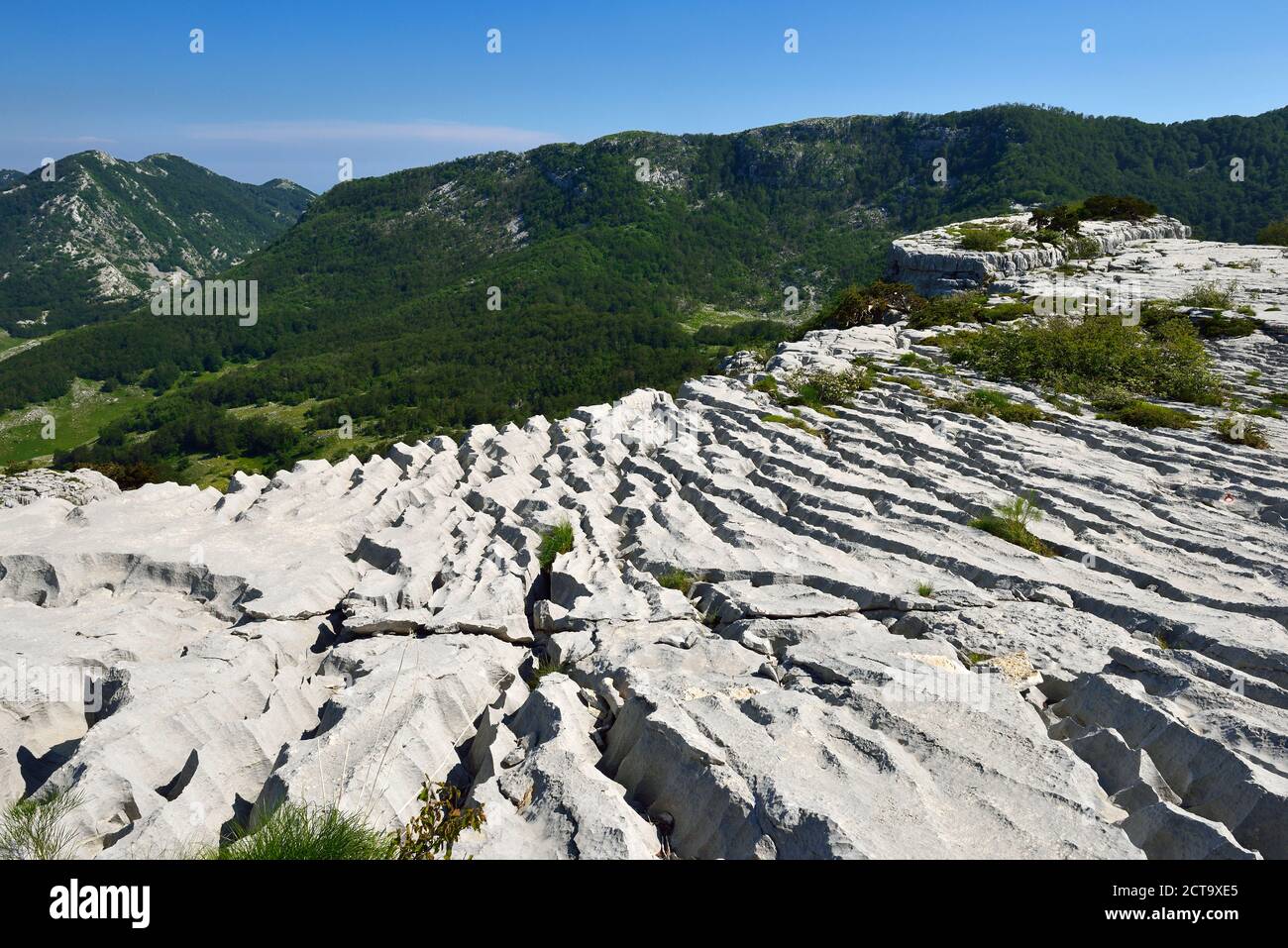 Montenegro, Karst formation at Vilina Guvno Stock Photo - Alamy
