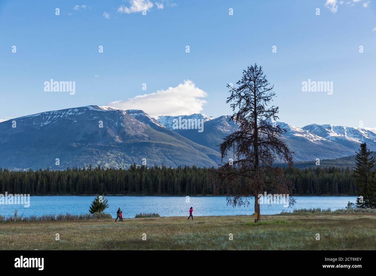 Canada, Alberta, Jasper National Park, Lake Anette Stock Photo - Alamy