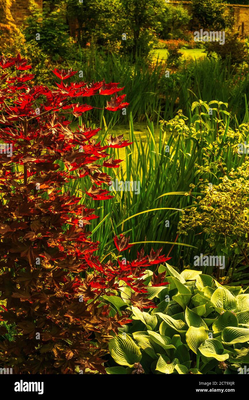 Salt marsh hall gardens Stock Photo - Alamy