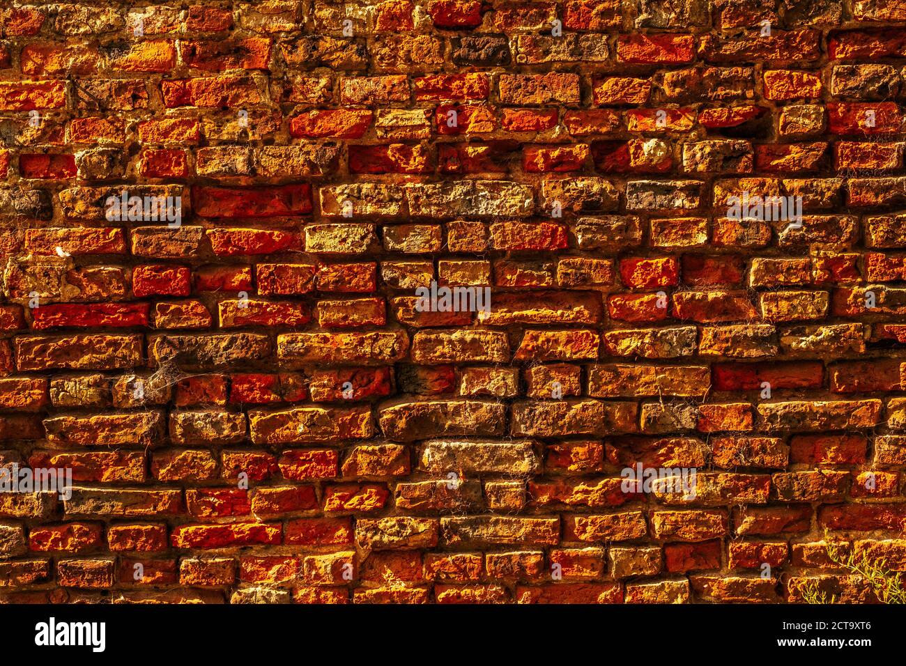 Salt marsh hall gardens Stock Photo - Alamy