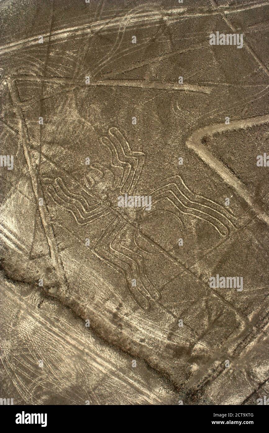 Nasca lines hi-res stock photography and images - Alamy