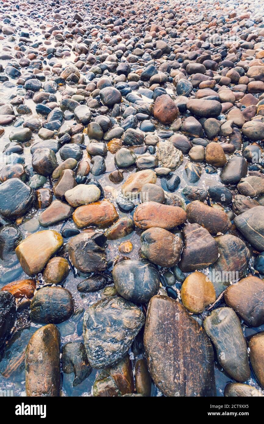 New Zealand, Golden Bay, pebbles at beach Stock Photo - Alamy