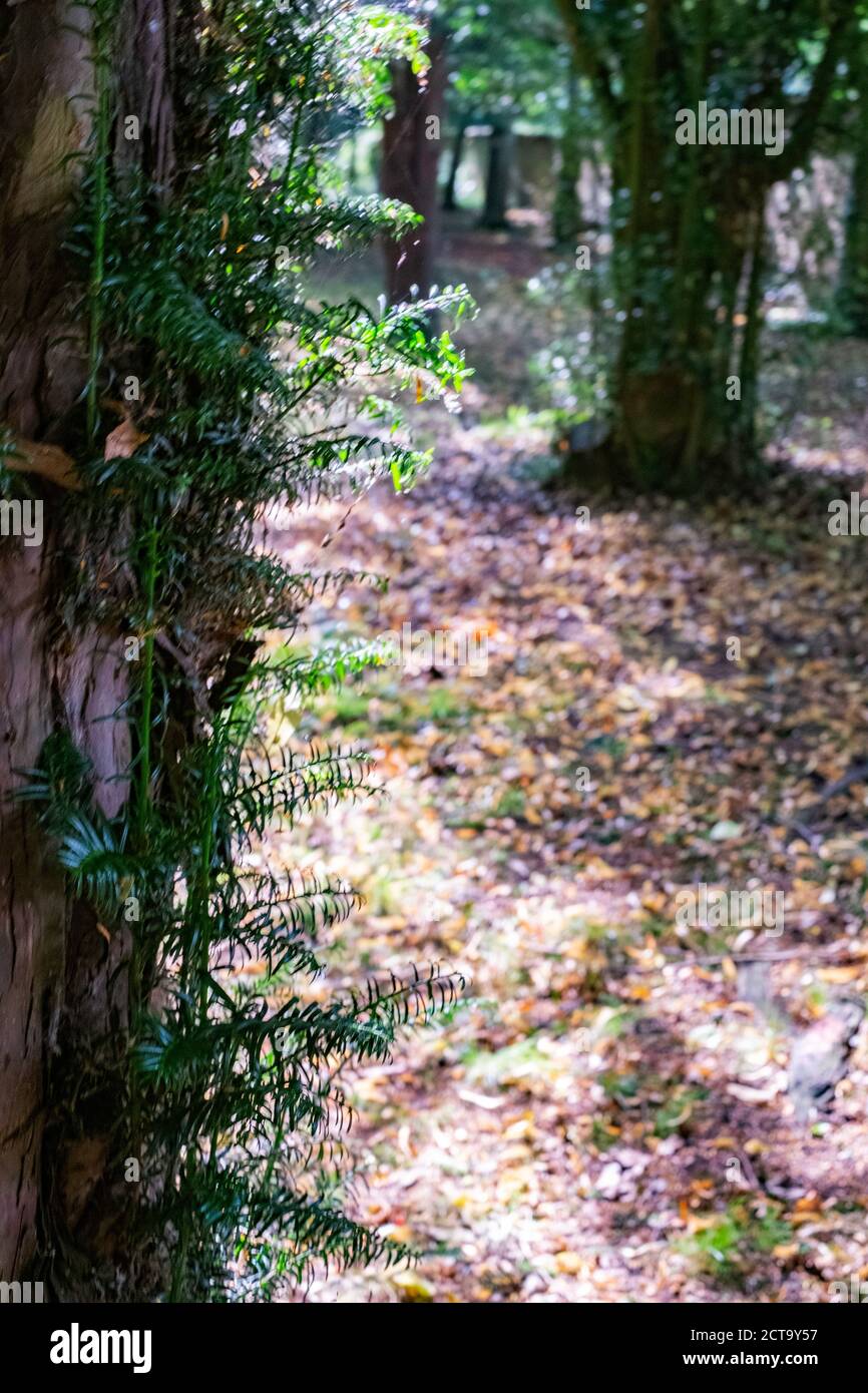 Salt marsh hall gardens Stock Photo - Alamy