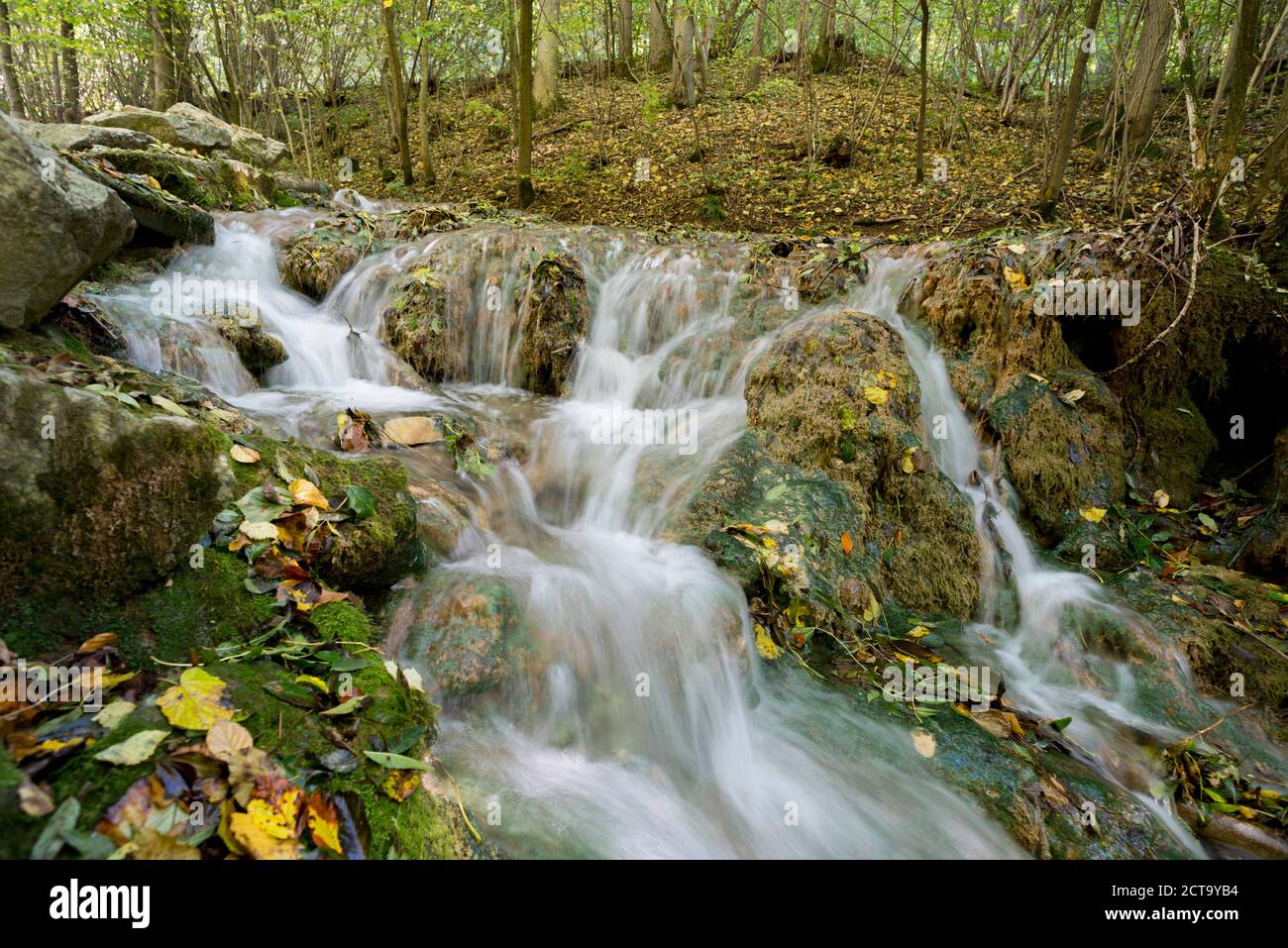 Lillach hi-res stock photography and images - Alamy