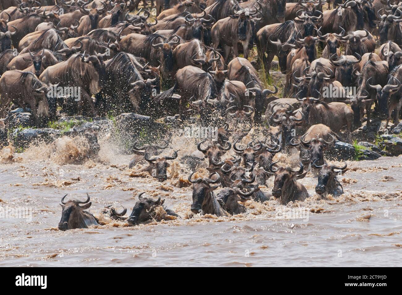 Big waters nature reserve hi-res stock photography and images - Alamy