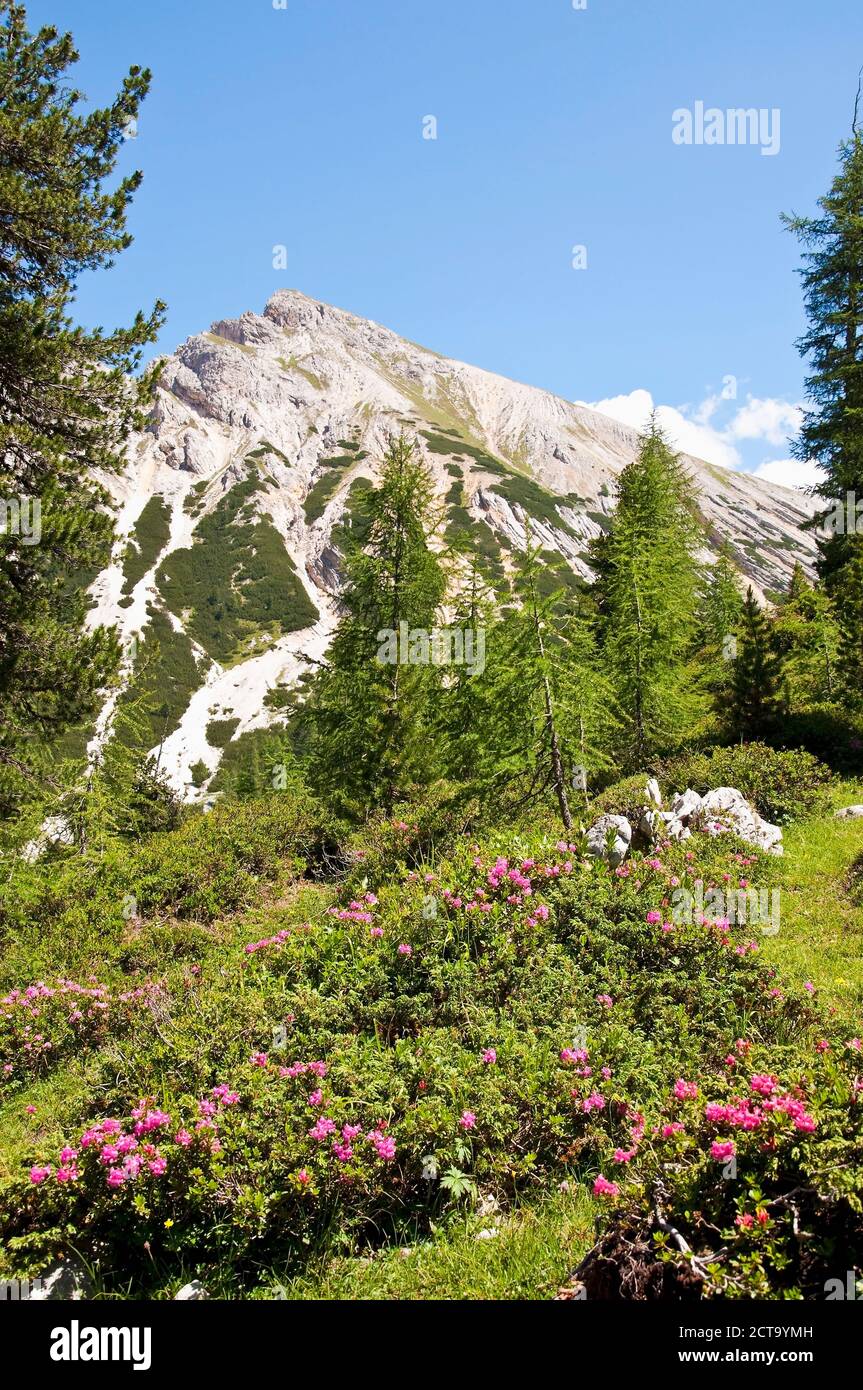 Prags valley hi-res stock photography and images - Alamy