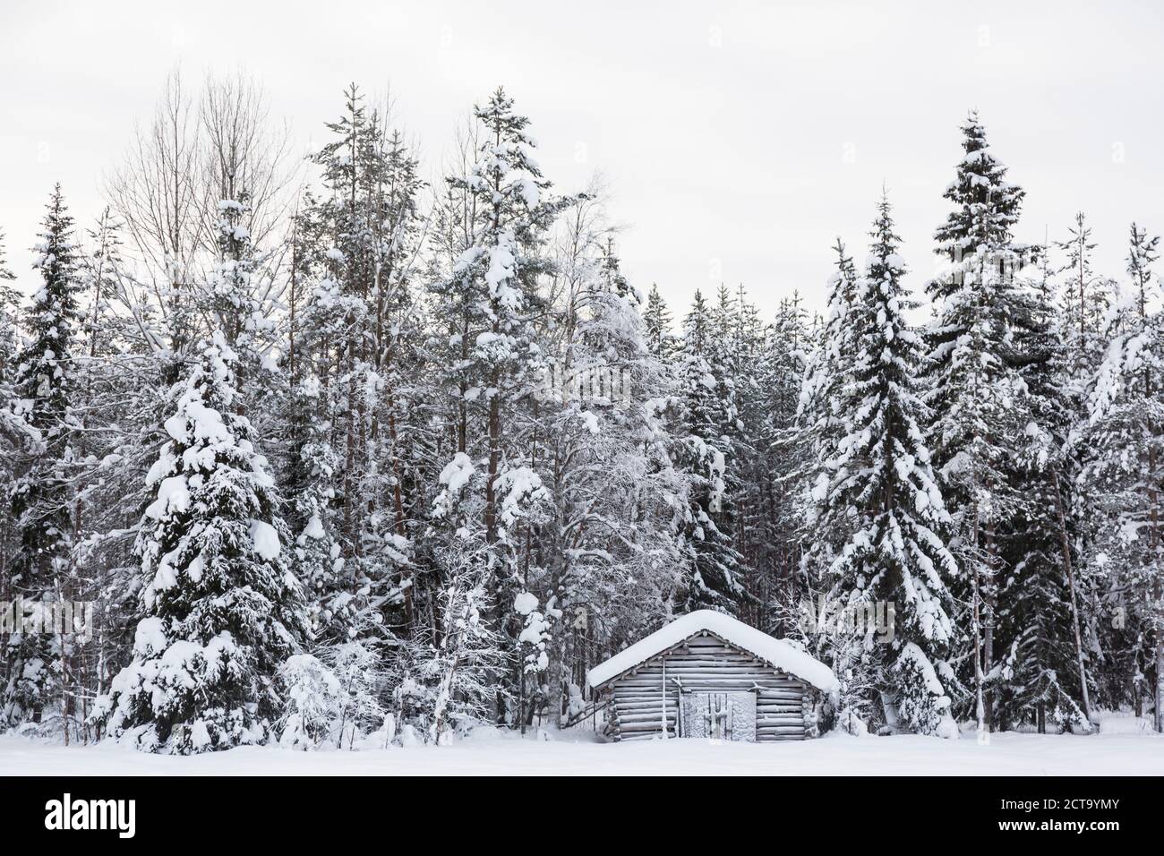 Wooden hut in the forest hi-res stock photography and images - Alamy