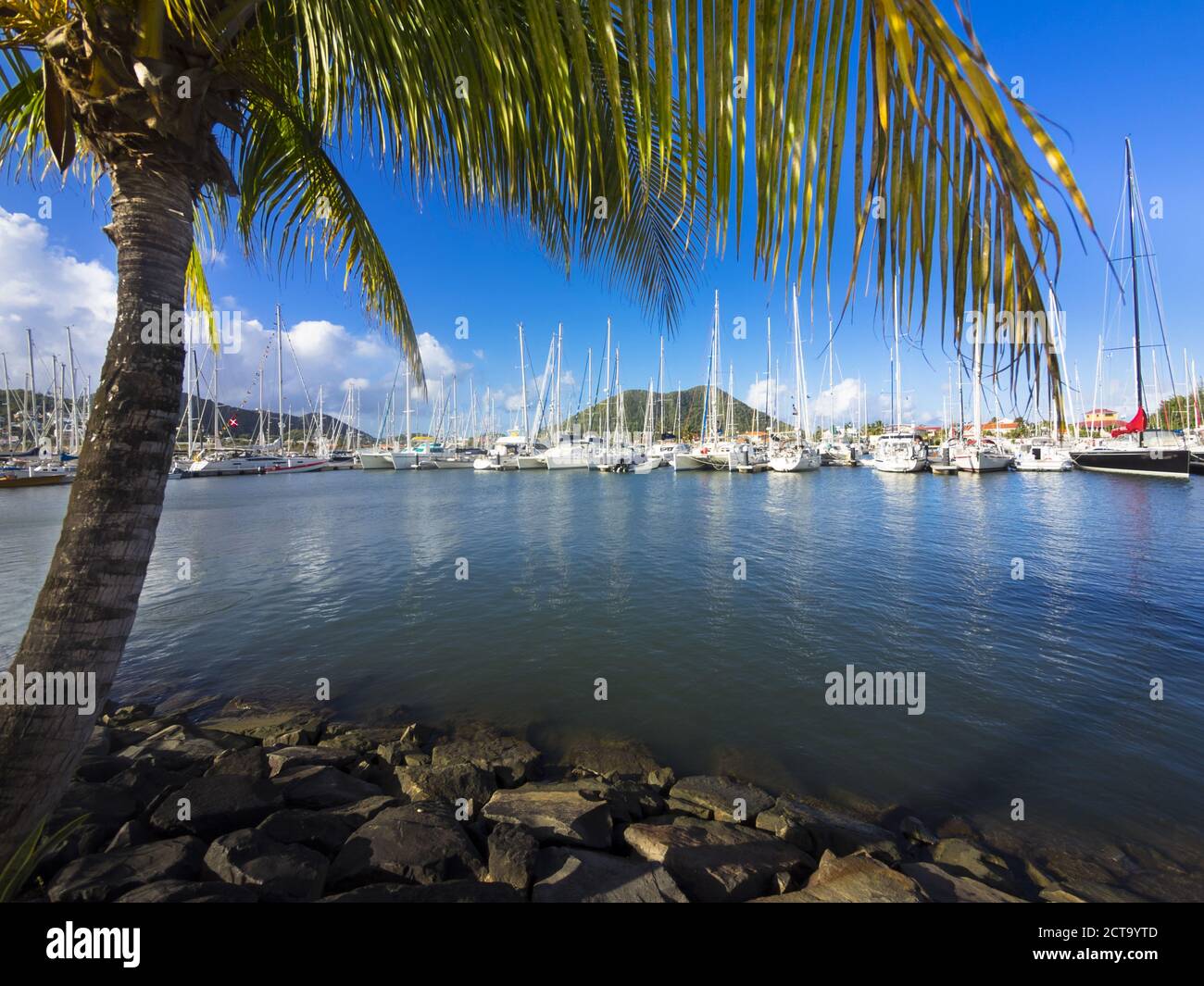 Caribbean, Lesser Antilles, Saint Lucia, Rodney Bay, Marina and sailing ...