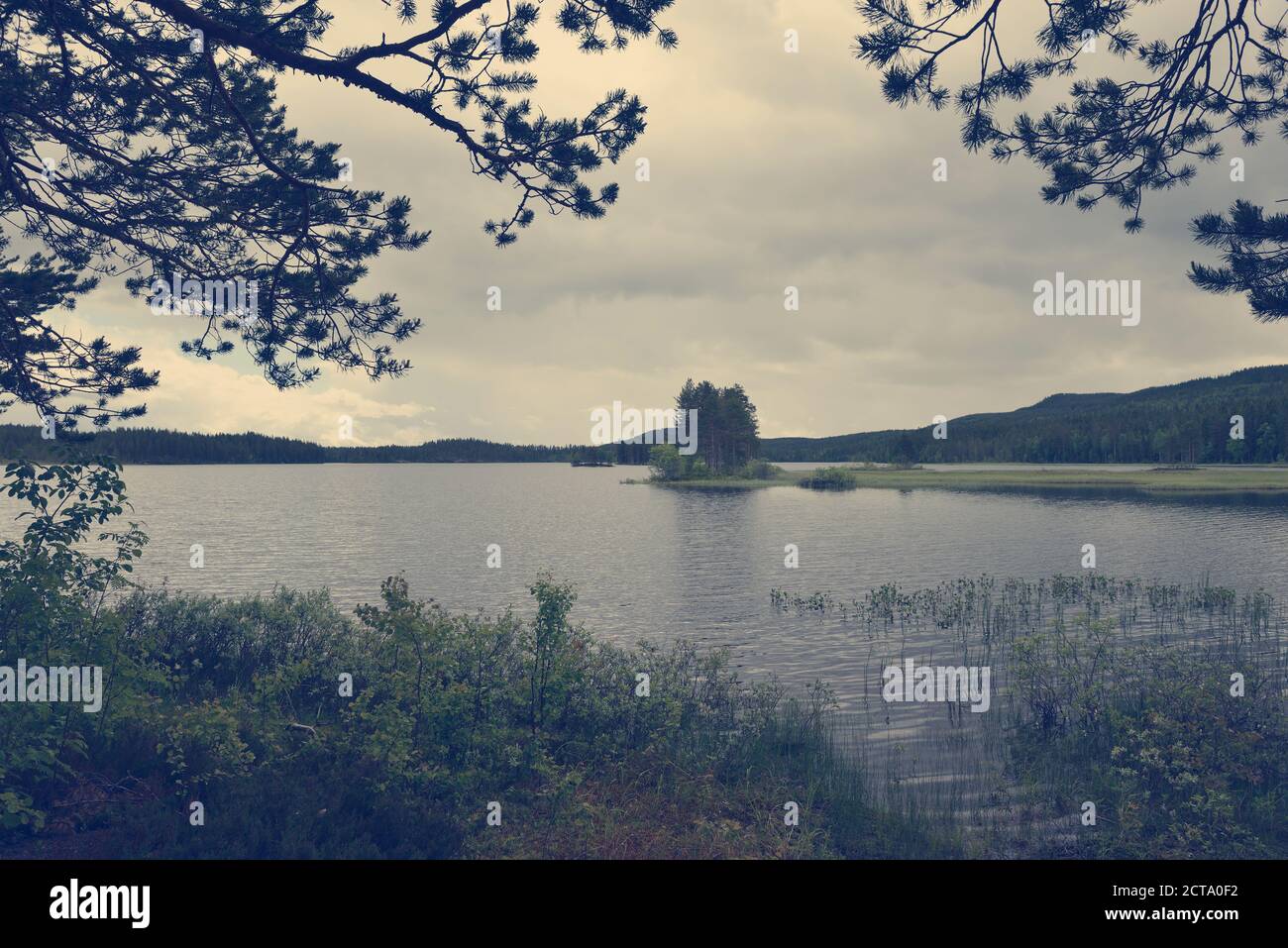 Sweden, Sandsjoen, Island in lake Stock Photo - Alamy